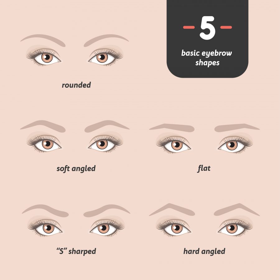 How To Perfect Your Eyebrow Shape in Just Four Simple Steps – The Urban ...
